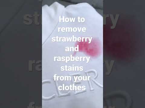 Does Strawberry Stain Clothes - Fruits Knowledge World